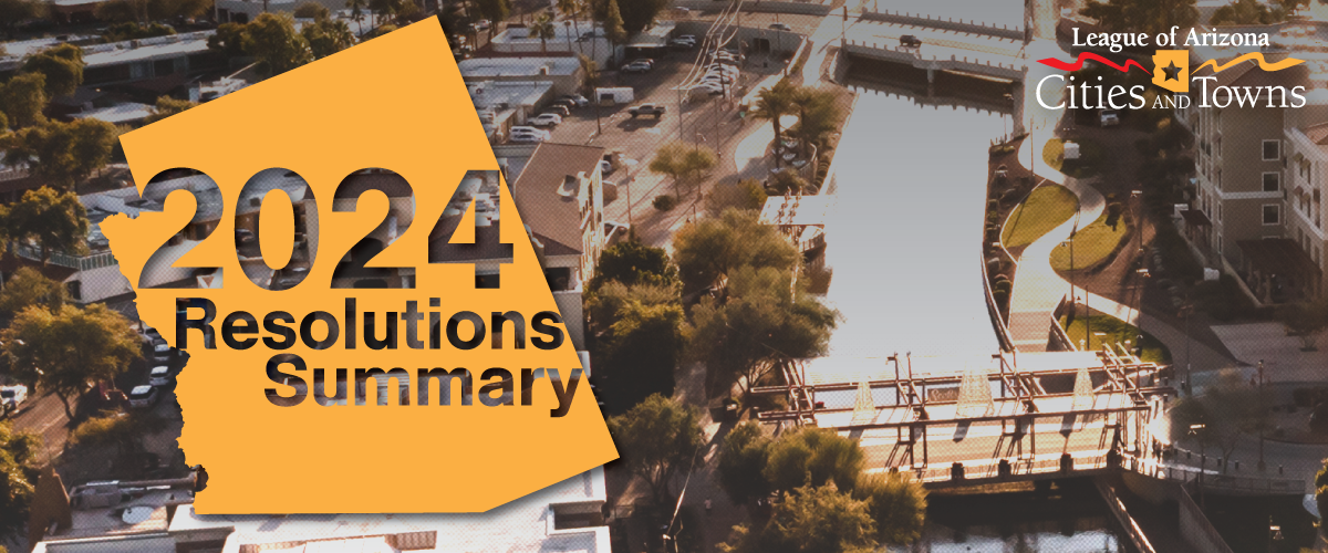 2024 League Resolutions Summary Chart – AZ League Connection